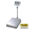 CAS DB-II Digital Weighing Floor Scale – Sensortronic Weighing ...